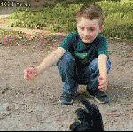 The .Gif Friday Post No. 392 – Tardigrade Swim, Indecisive WTF Fish ...