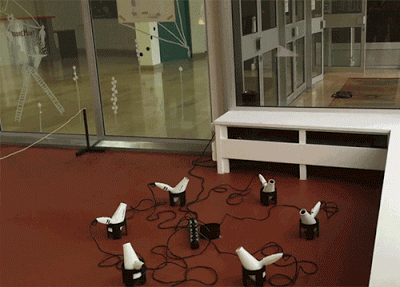 The .Gif Friday Post No. 436 – Blow Fly, Giraffes to Elephant & Cutout ...