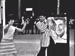 The .Gif Friday Post No. 450 – Dance Hard – Tacky Raccoons