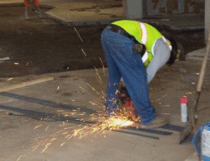 Tacky Raccoons – Page 238 – Stray Polyps from the Internest