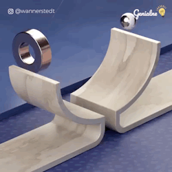 The .Gif Friday Post No. 544 – Precision Machines – Tacky Raccoons