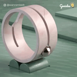 The .Gif Friday Post No. 544 – Precision Machines – Tacky Raccoons