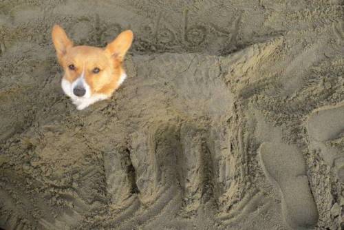 Please Don’t Do This. – Tacky Raccoons