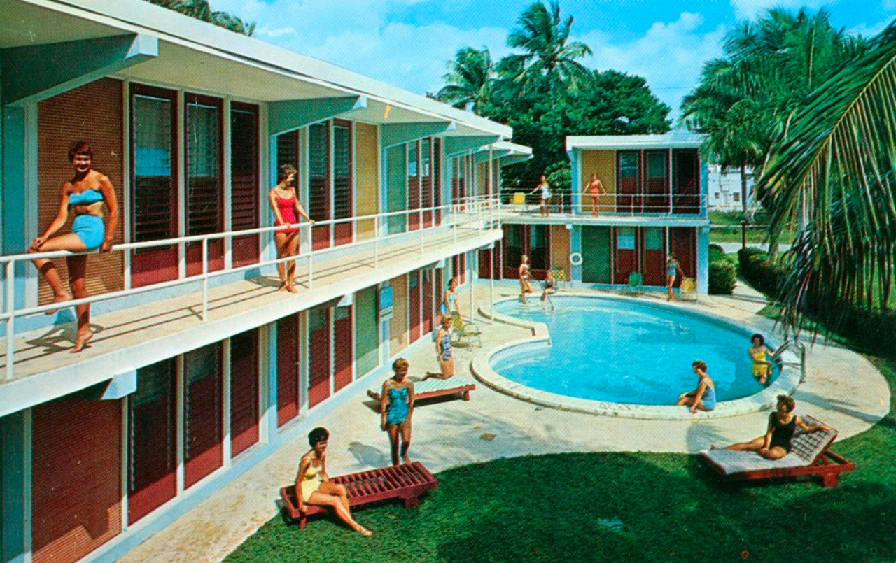 The Mom Motel – Tacky Raccoons