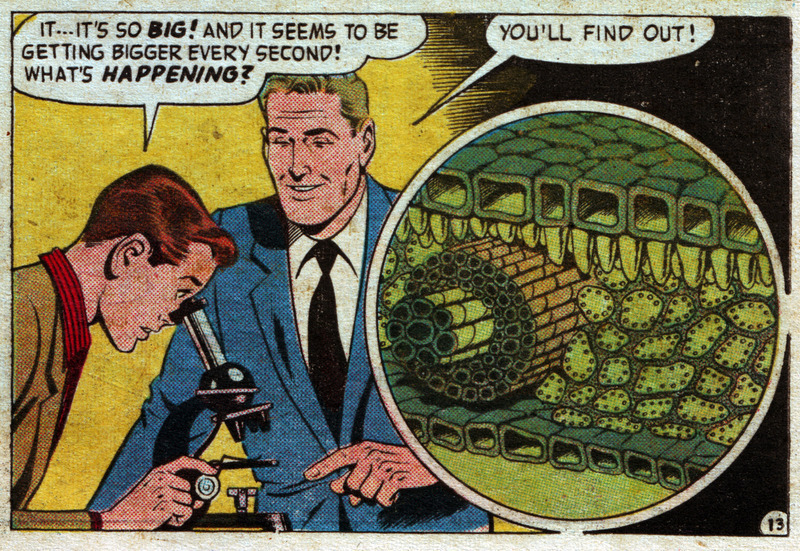 It makes something bigger… – Tacky Raccoons