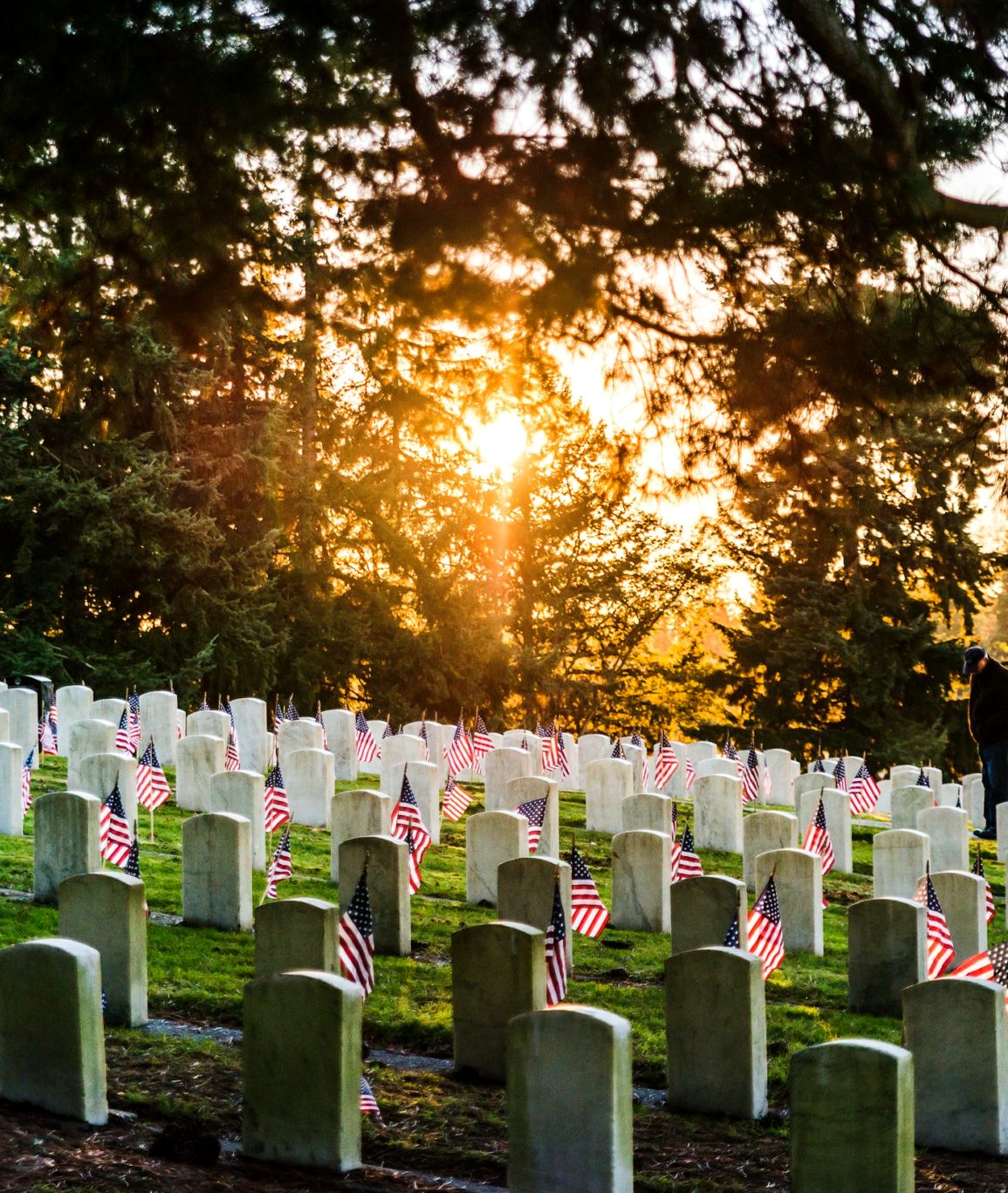 Memorial Day – Tacky Raccoons