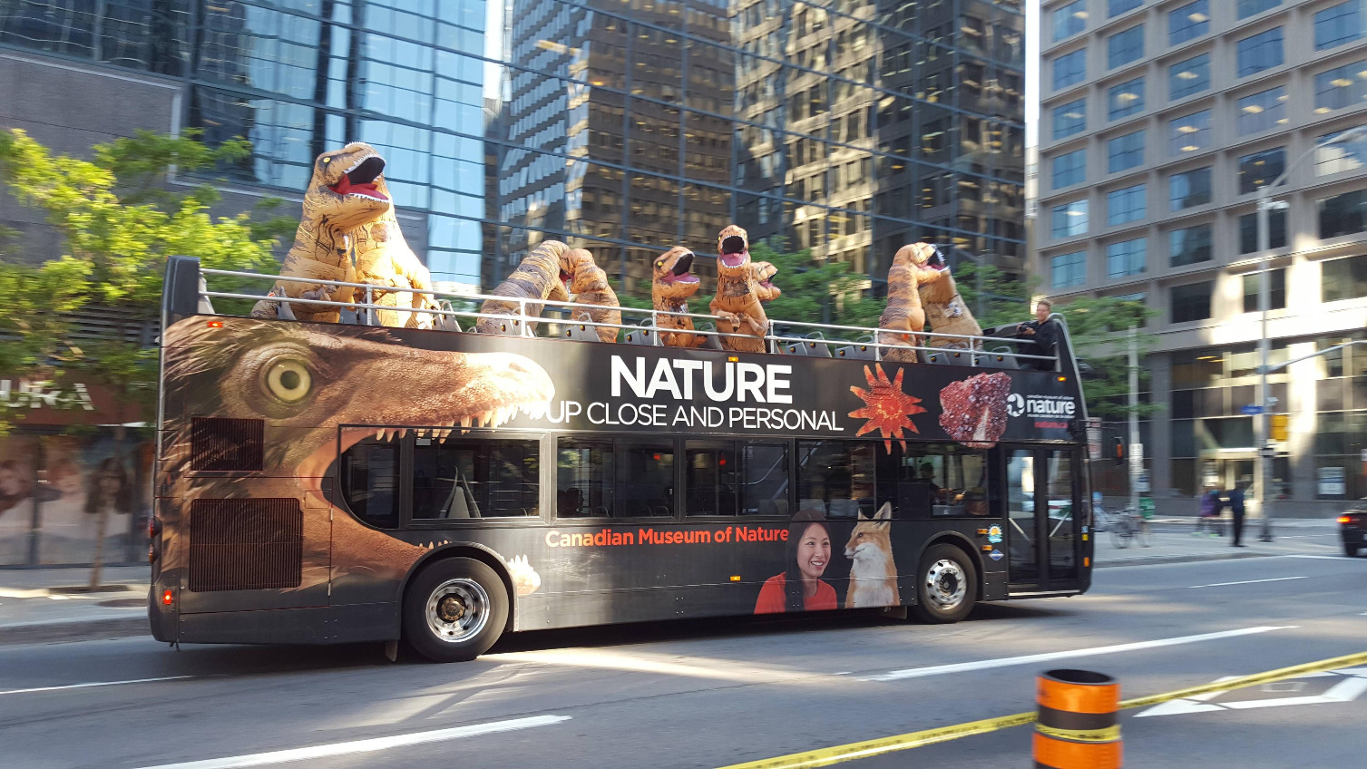 The Boys Are Back In Town – Tacky Raccoons