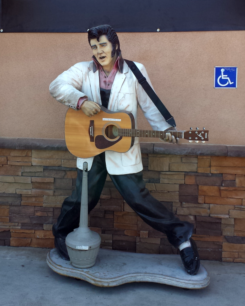 Elvis – Tacky Raccoons