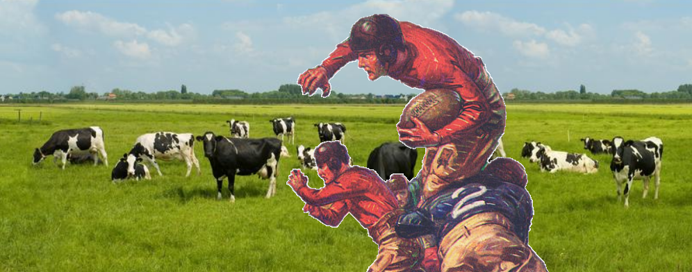 Cowball – Tacky Raccoons