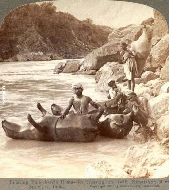 Bullock-Skin Boats – Tacky Raccoons