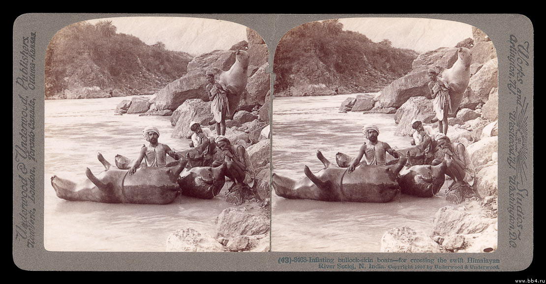 Bullock-Skin Boats – Tacky Raccoons