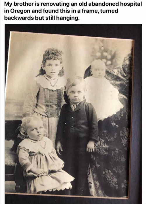 Lost Portraits – Tacky Raccoons