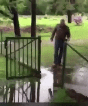 The .Gif Friday Post No. 792 – Hosin’ Down the Bebes, Hydrophobic Splat ...