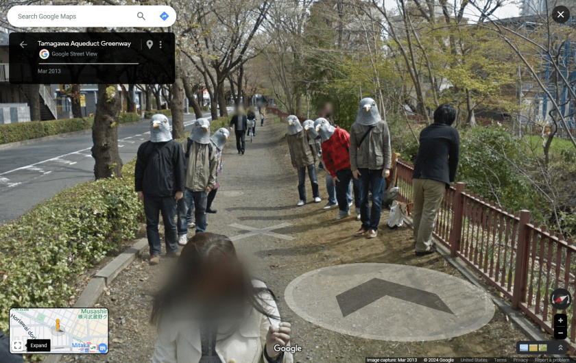 Japanese Pigeon People – Tacky Raccoons