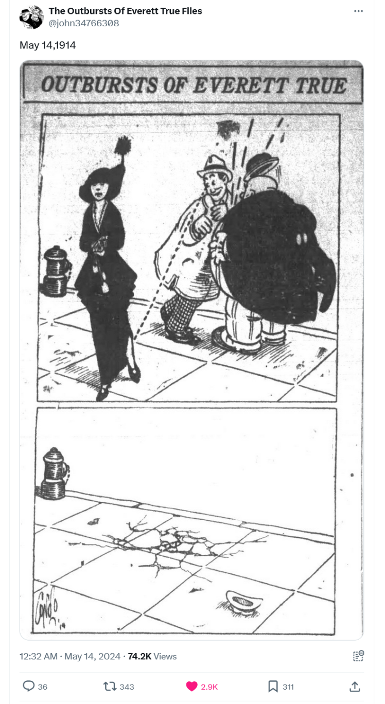 The Outbursts of Everett True – Tacky Raccoons