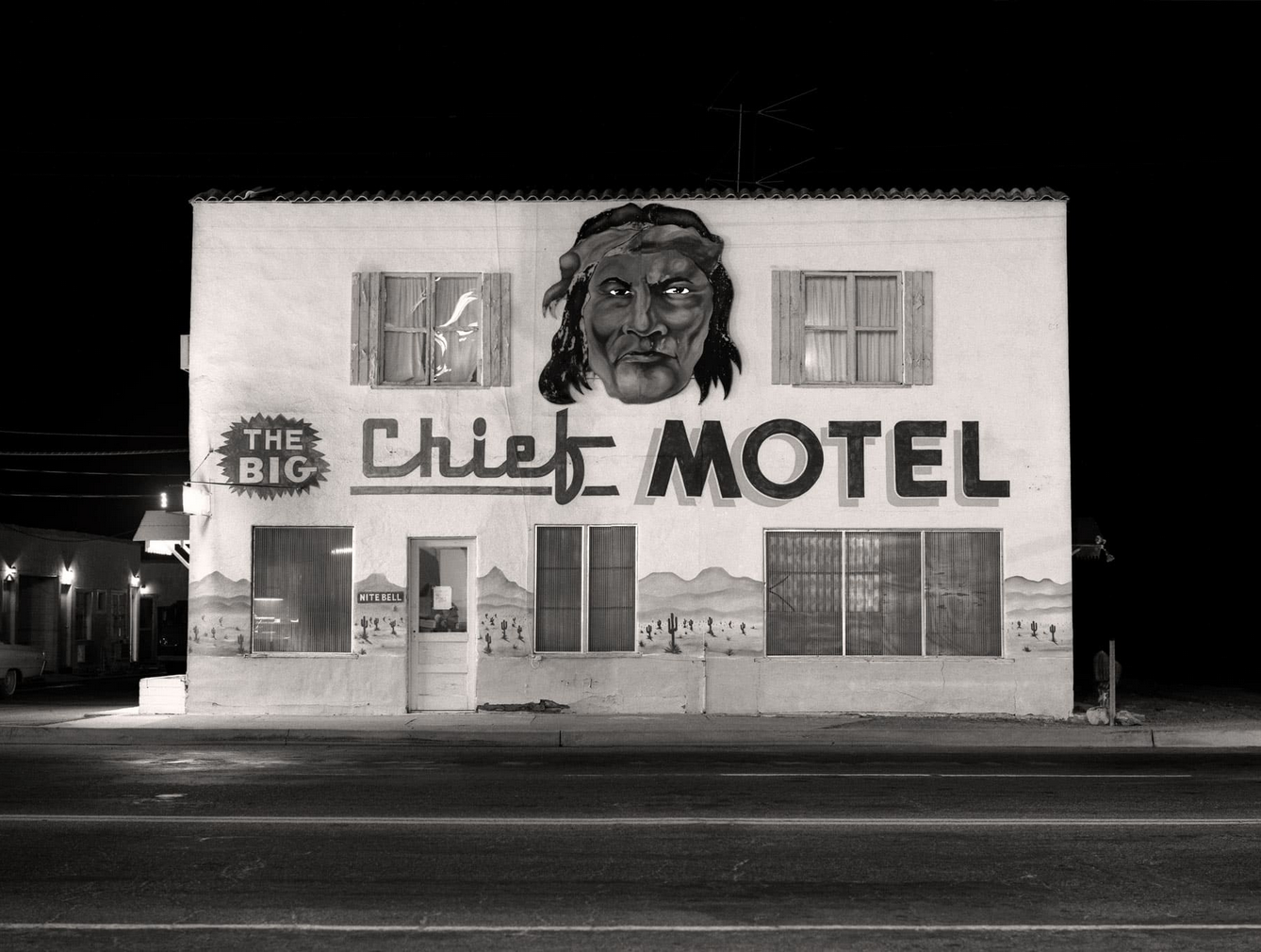 On the Road with Steve – Tacky Raccoons