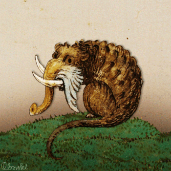 Tacky Raccoons – Page 2 – Stray Polyps from the Internest