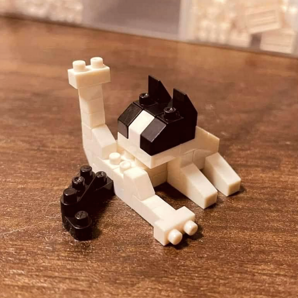 Le Chat Lego – Tacky Raccoons